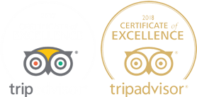 Private Airport Transportation & Charters | ShuttleMate